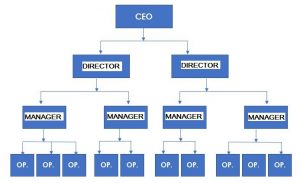 5 Organizational Structure Examples | Which to use?