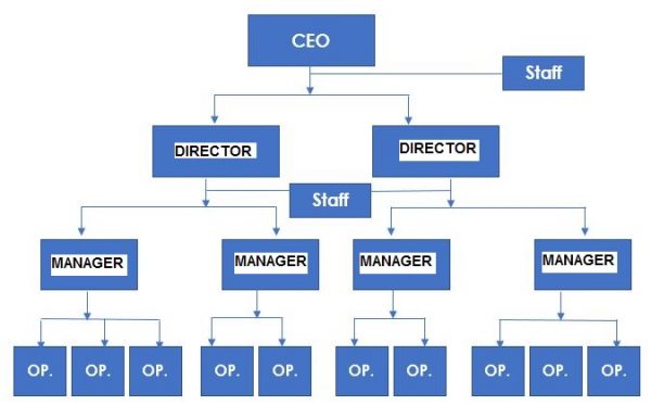 5 Organizational Structure Examples | Which to use?